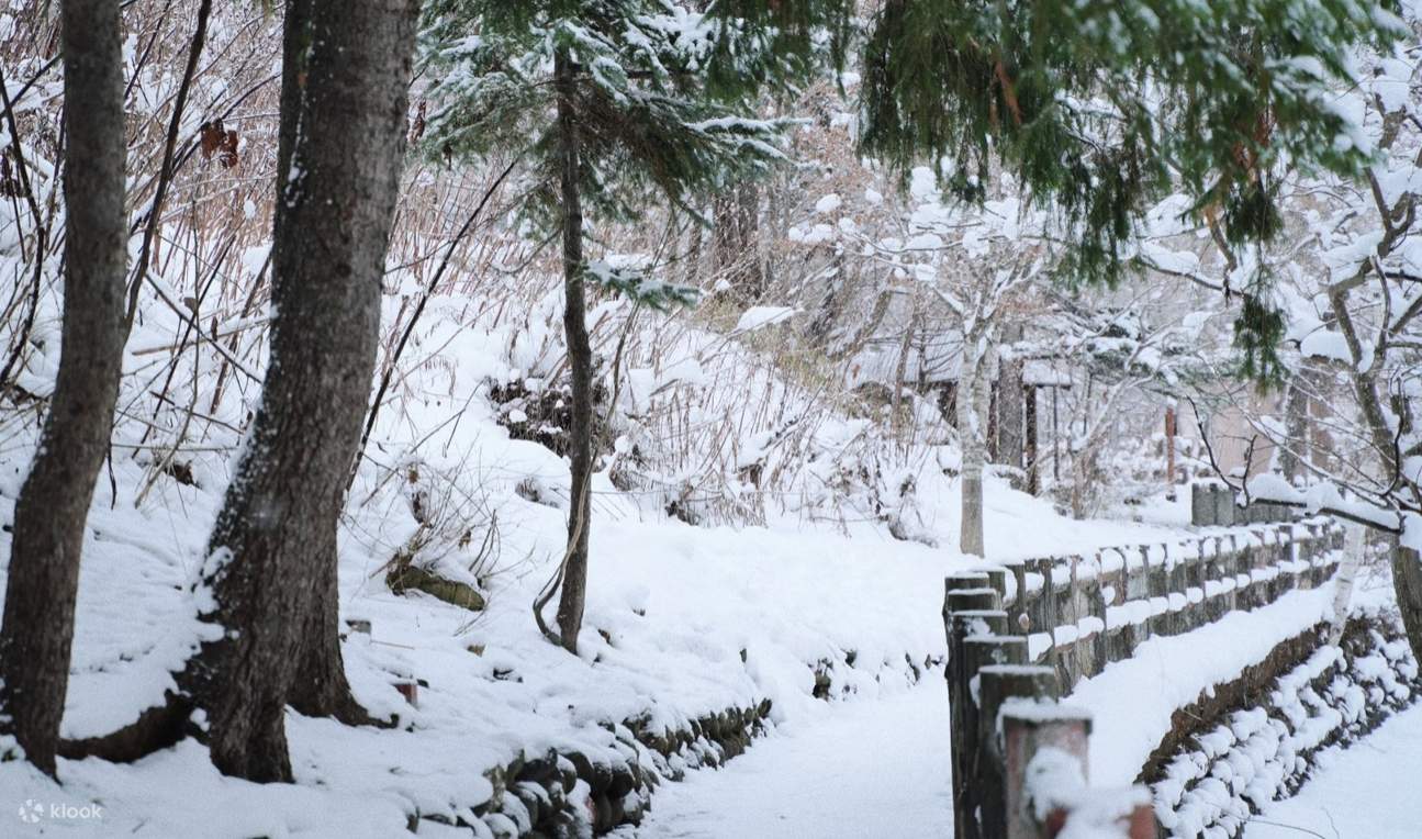 [Winter Limited, departure from Sapporo] Jozankei snow scenery tour × ...